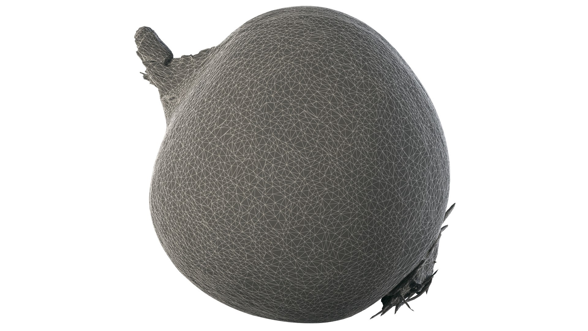 4K Red Onion 3D Model - TurboSquid 1992897