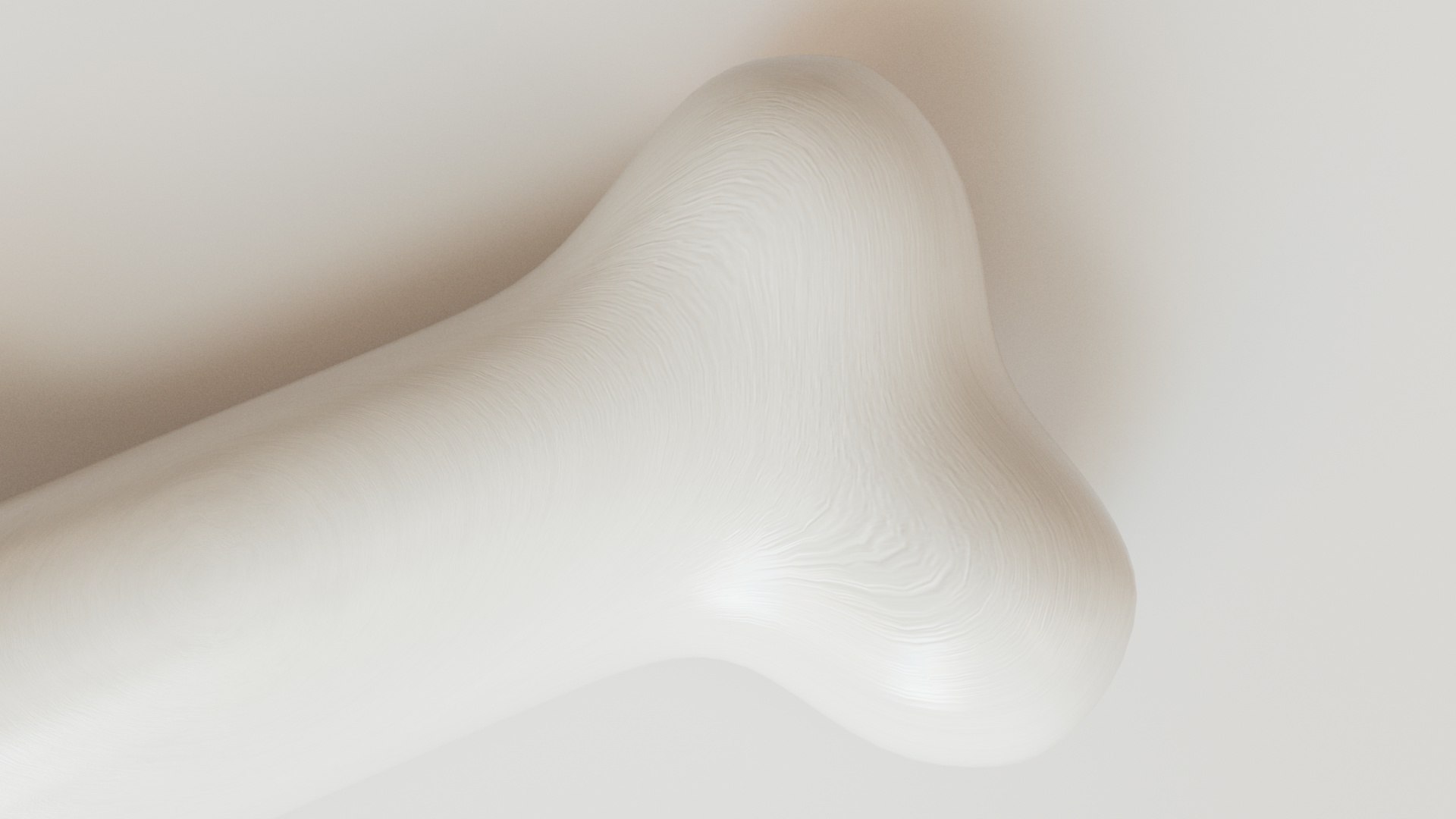 3D Model Simple Stylised Bone - TurboSquid 1877961