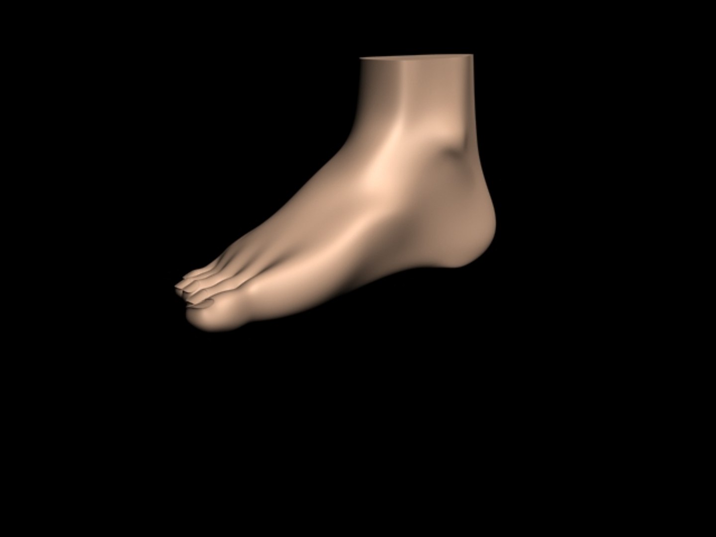Realistic Foot 3d Model