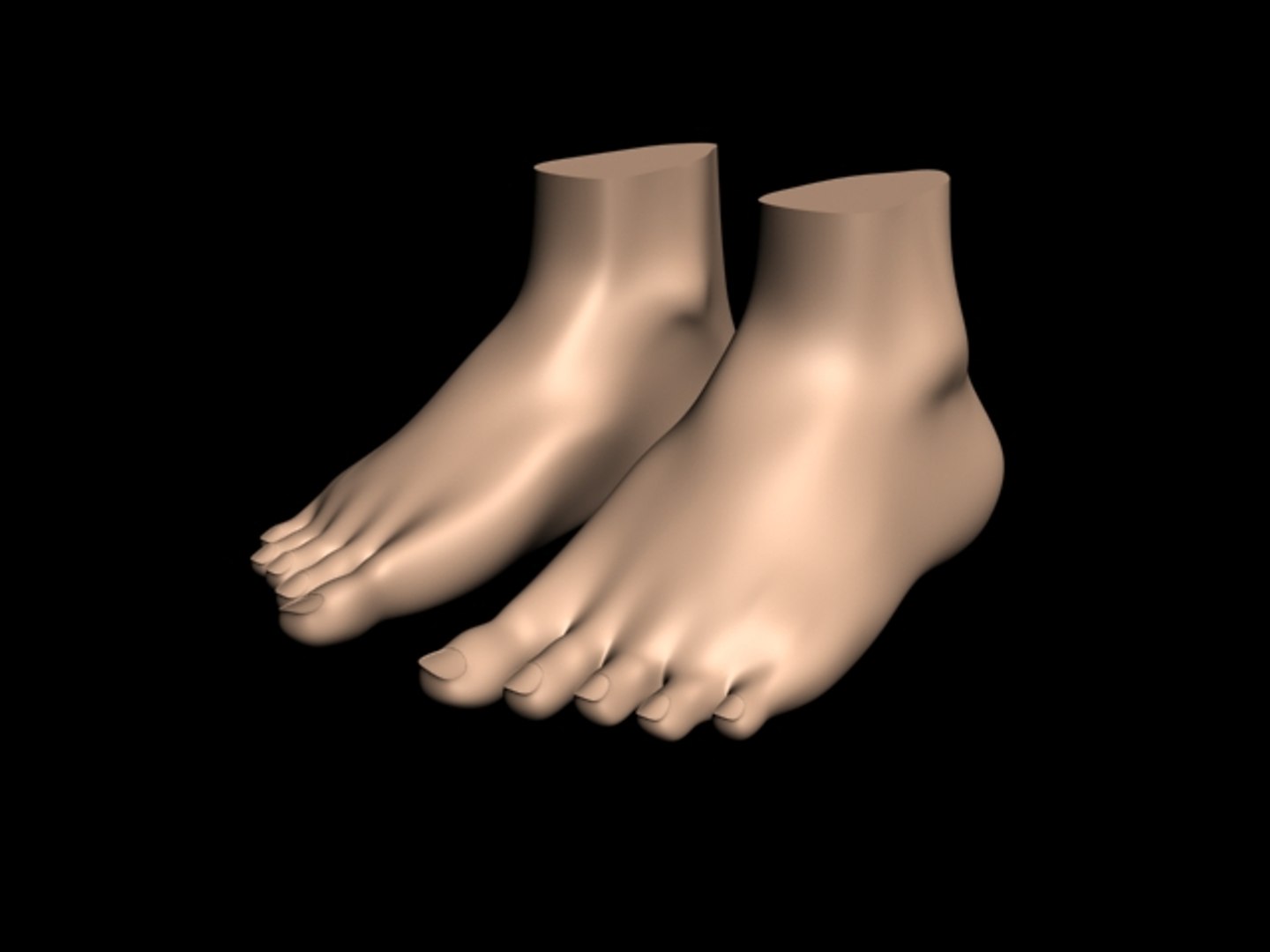 Realistic Foot 3d Model