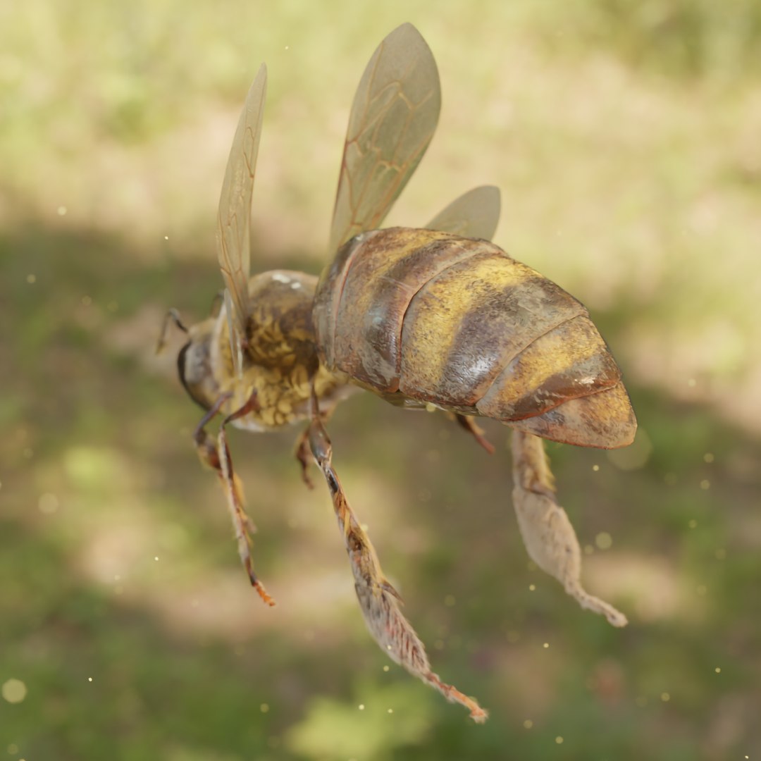 3D Bee - Rigged Animated Model - TurboSquid 2126981