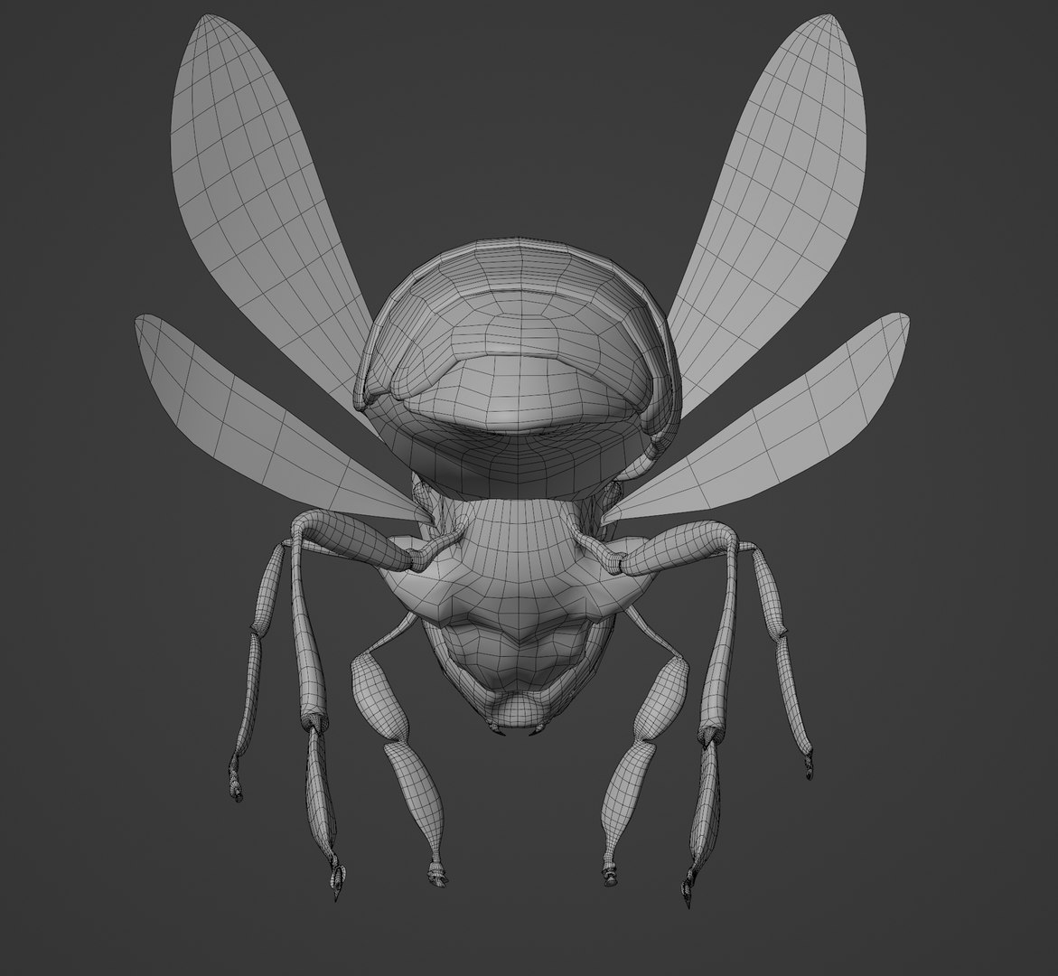 3D Bee - Rigged Animated Model - TurboSquid 2126981
