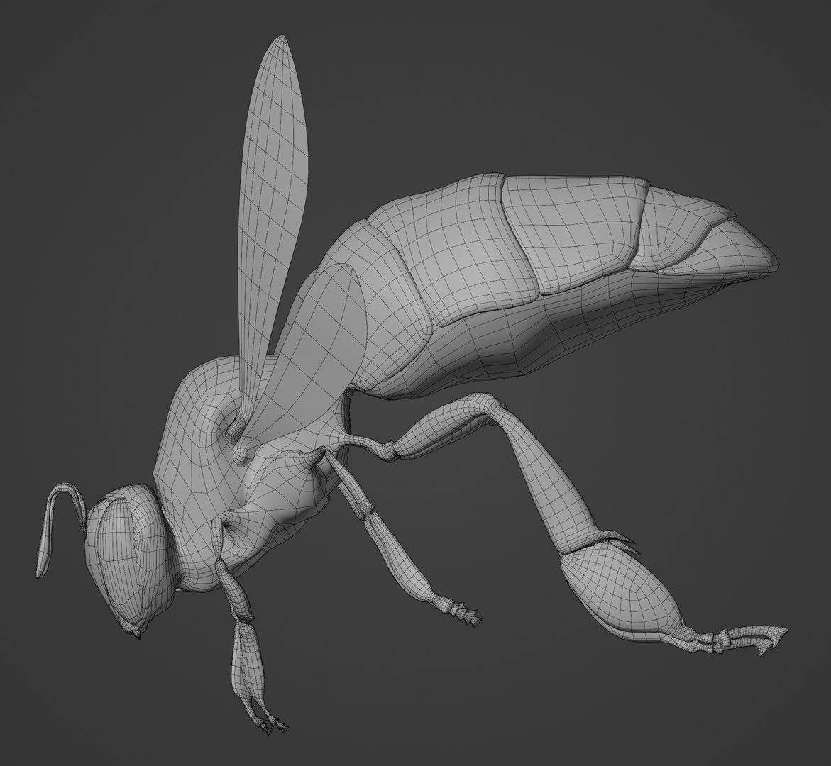 3D Bee - Rigged Animated Model - TurboSquid 2126981