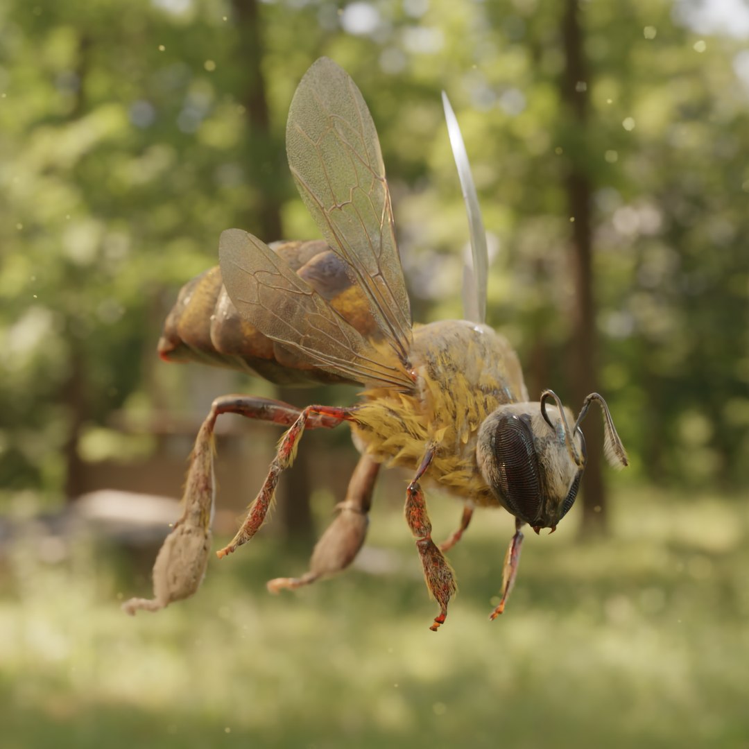 3D Bee - Rigged Animated Model - TurboSquid 2126981