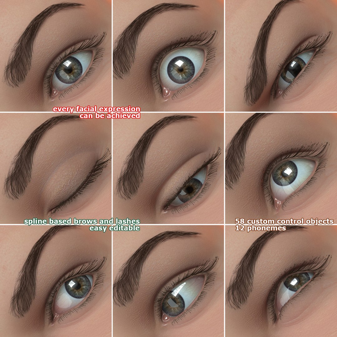 3D Model Orthodontic Head V-ray Ortho - TurboSquid 1338705