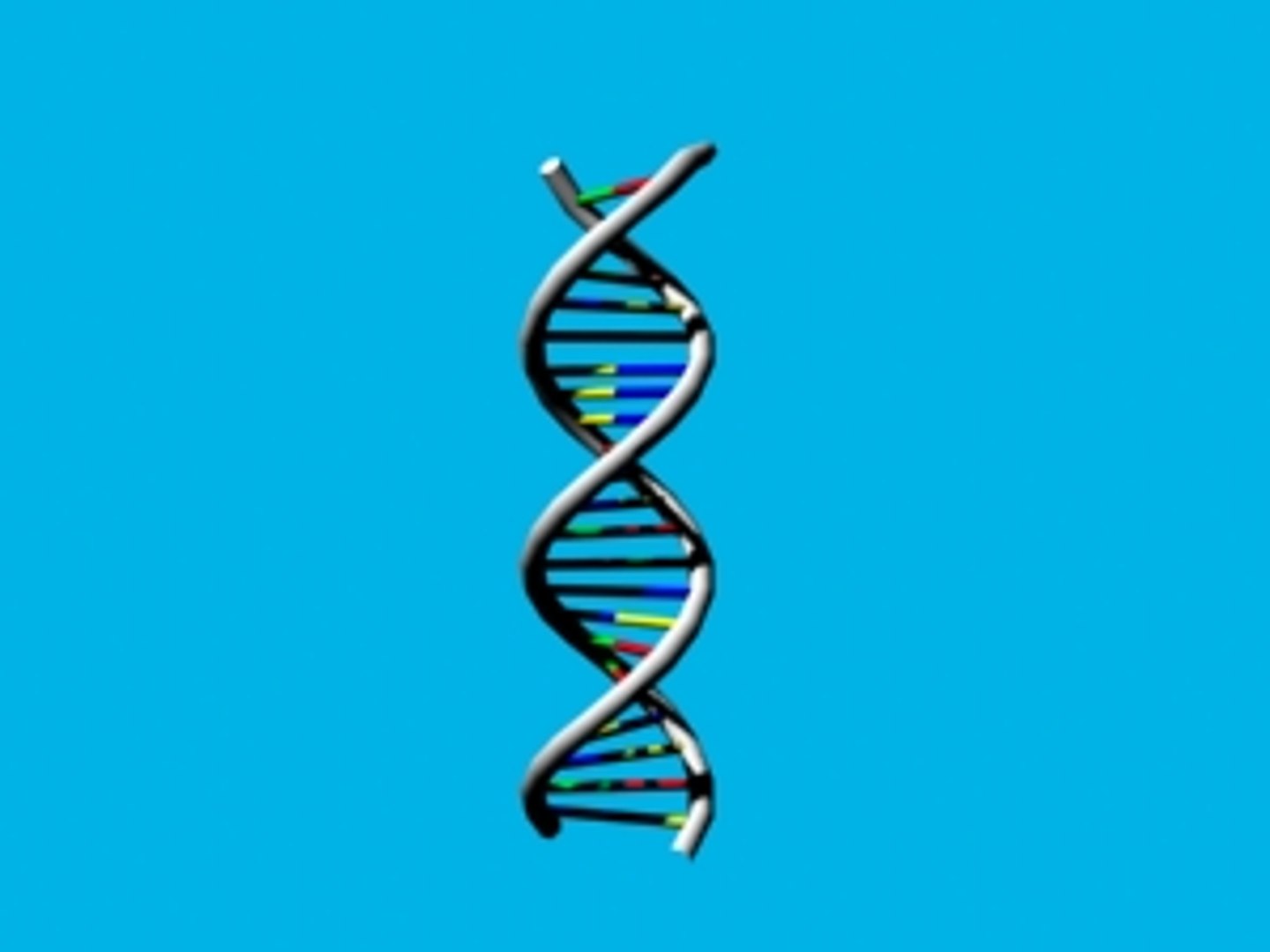 Free Max Model Dna Strand