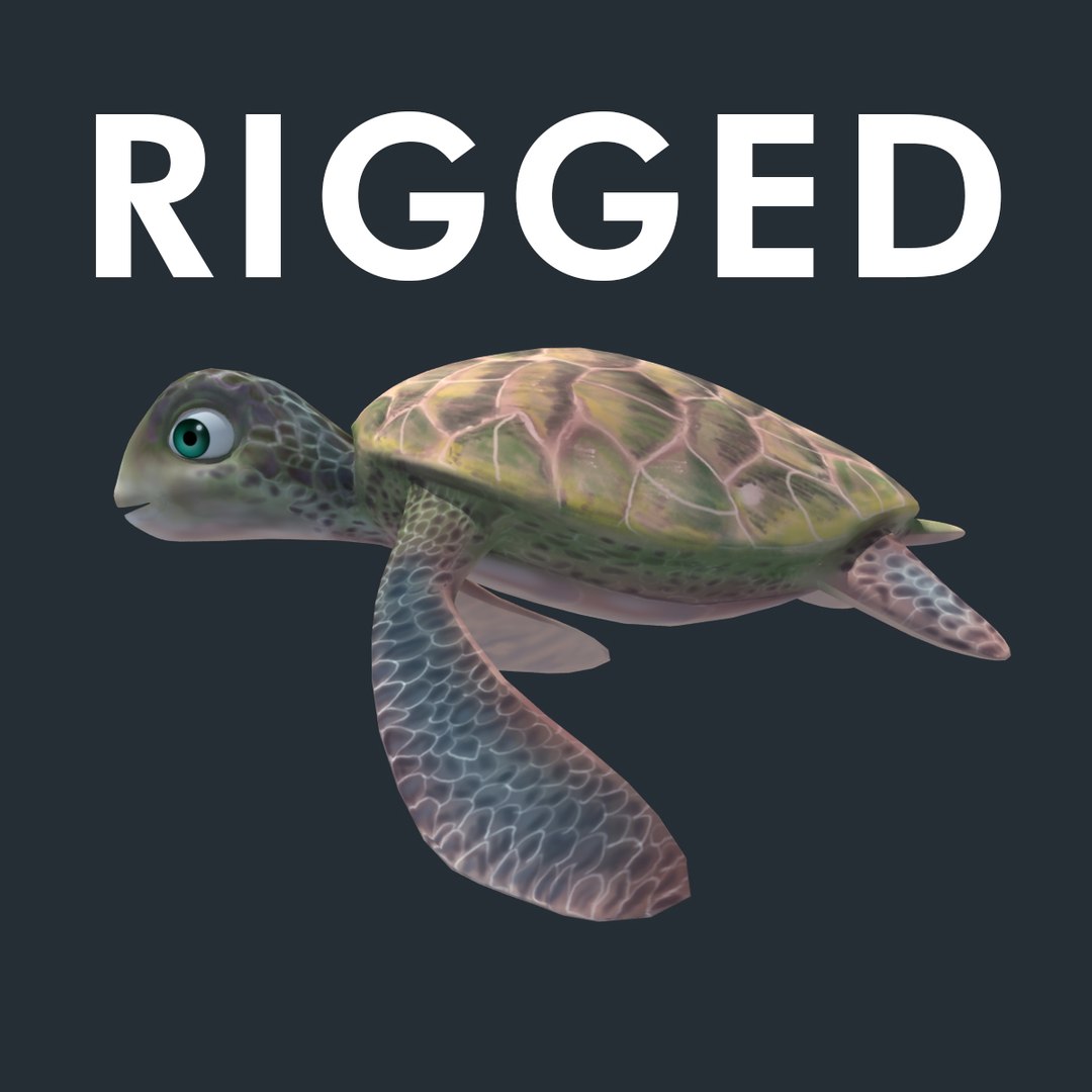 Turtle karetta 3D - TurboSquid 1290417