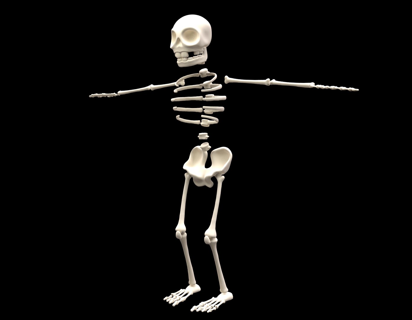 Max Cartoon Skeleton
