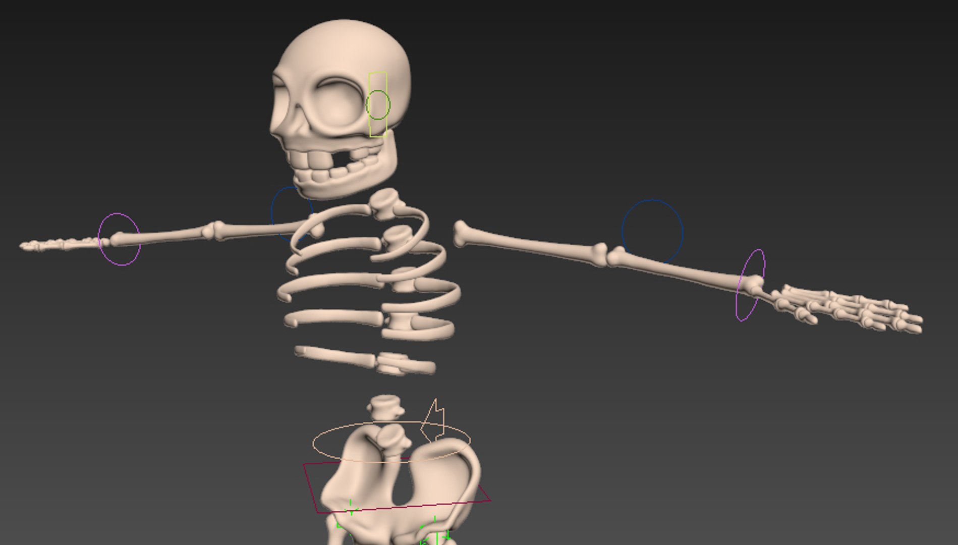 Max Cartoon Skeleton