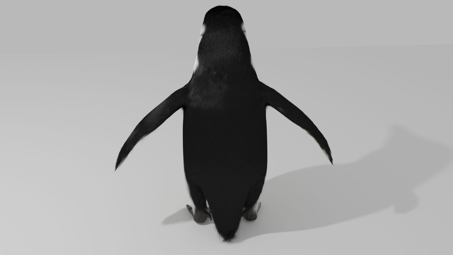 3D Penguin - TurboSquid 1993368