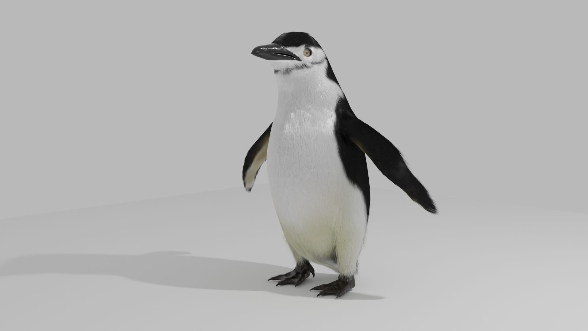 3D Penguin - TurboSquid 1993368