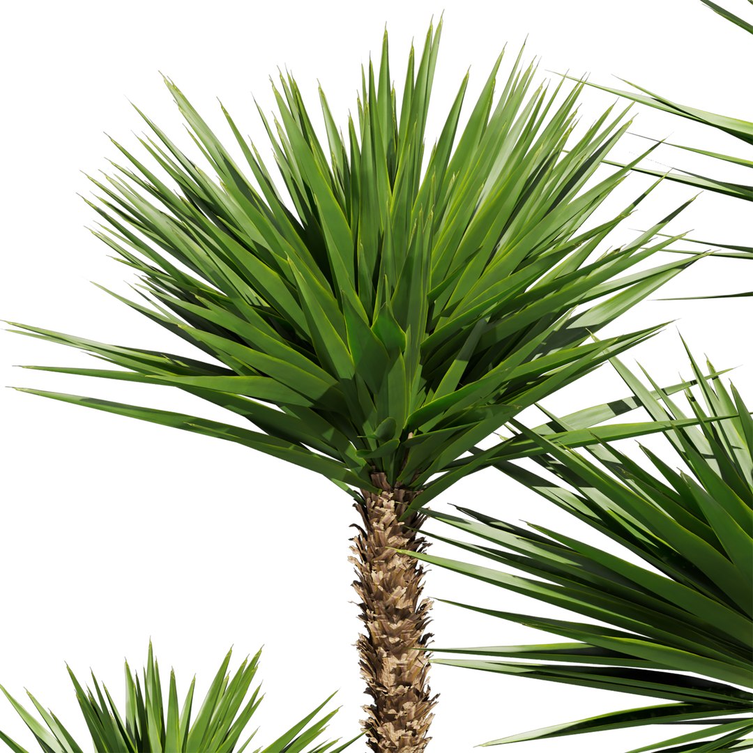 3D Collection plant vol 556 Corona 7 max 2011 - TurboSquid 2179507