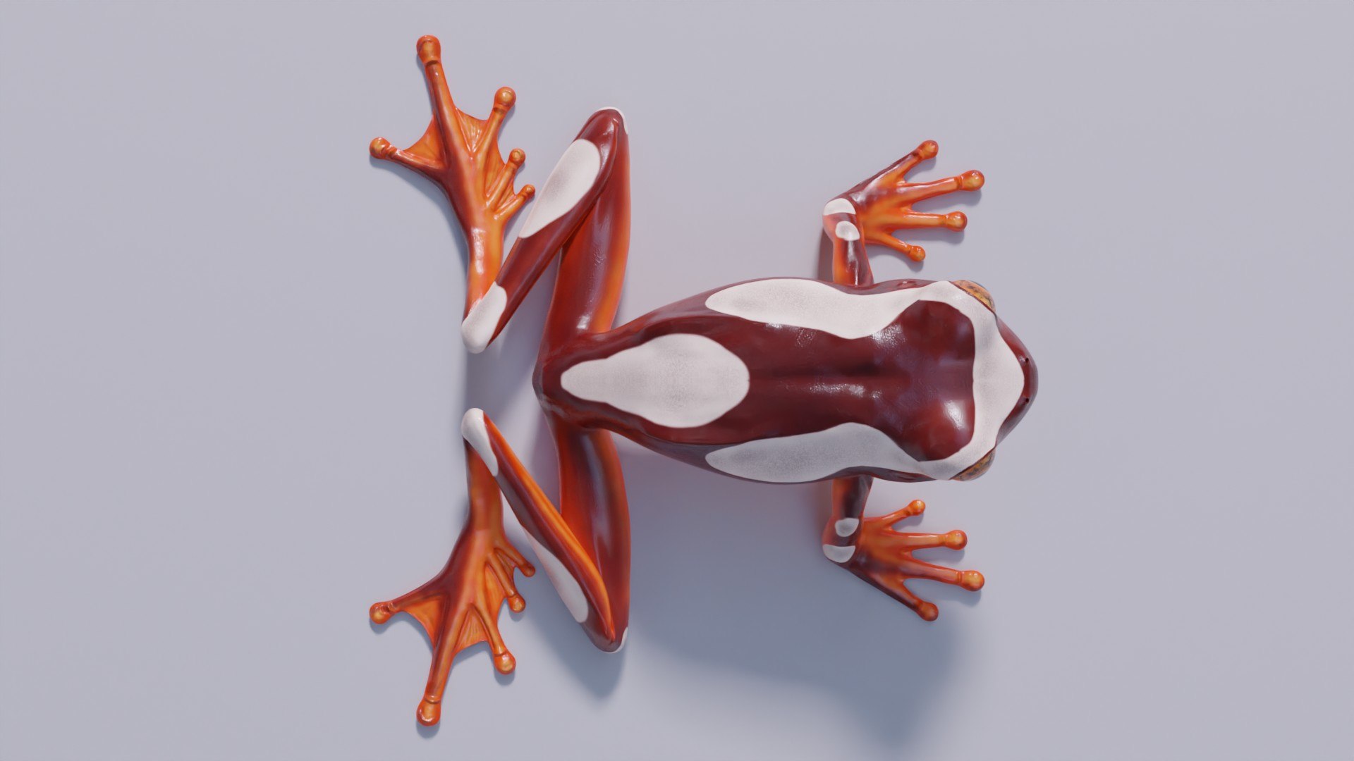 Clown Tree Frog - Animated 3D - TurboSquid 1767326