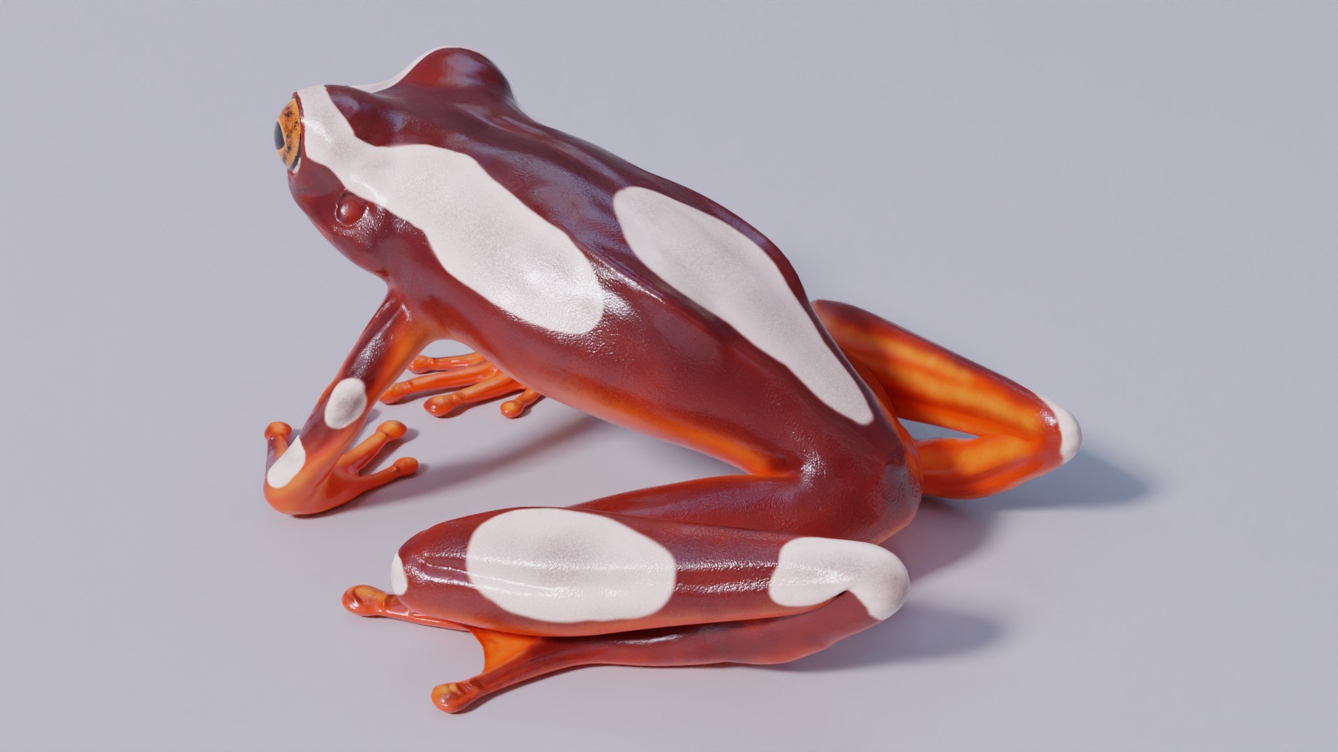 Clown Tree Frog - Animated 3D - TurboSquid 1767326