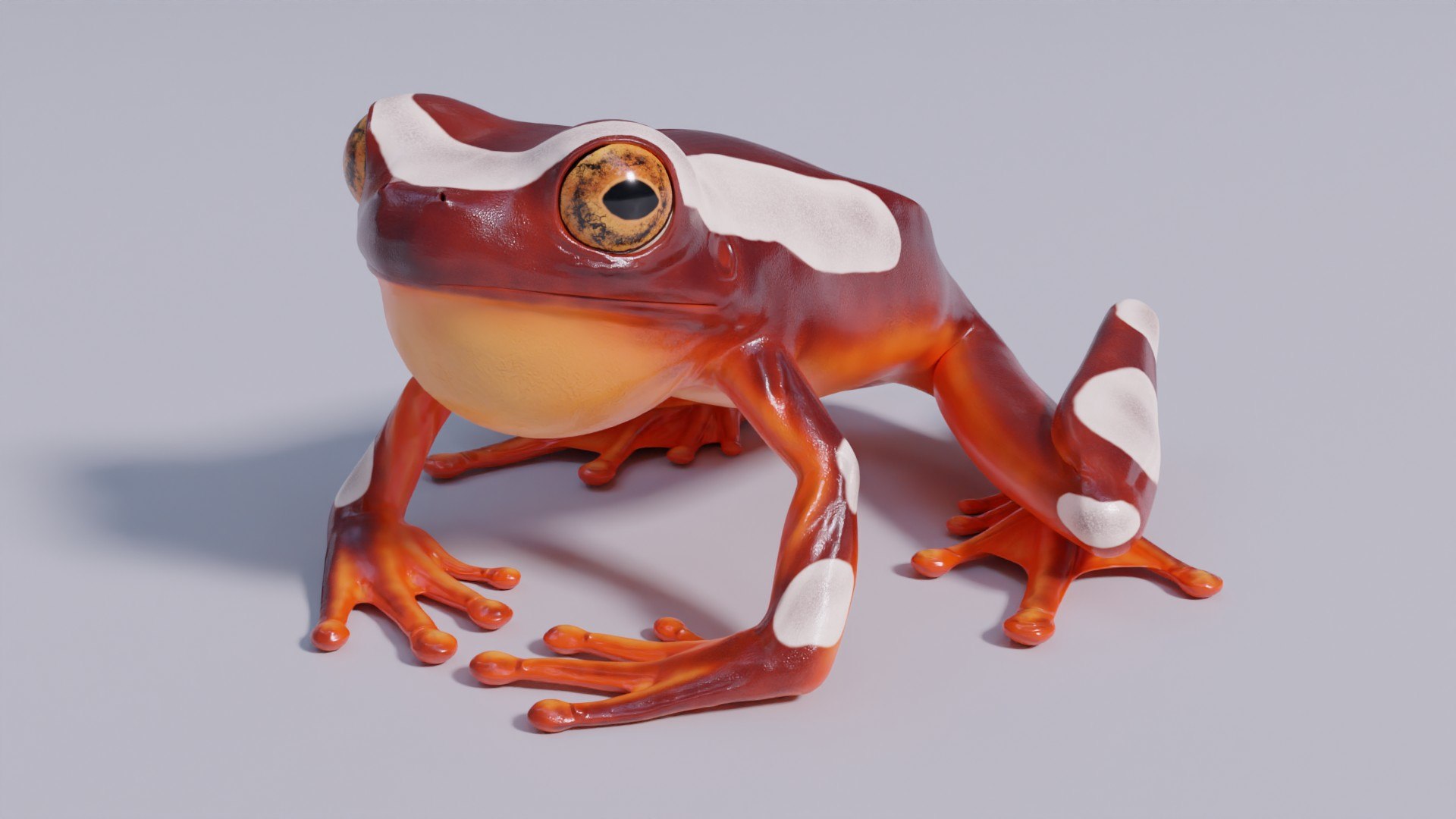 Clown Tree Frog - Animated 3D - TurboSquid 1767326