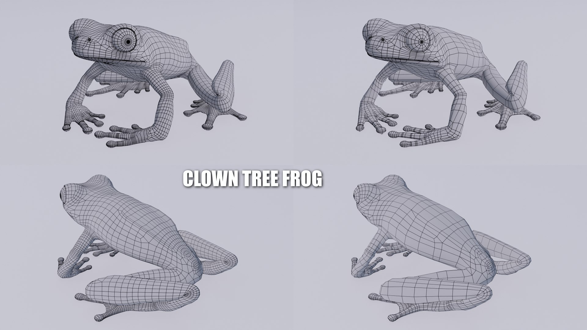 Clown Tree Frog - Animated 3D - TurboSquid 1767326