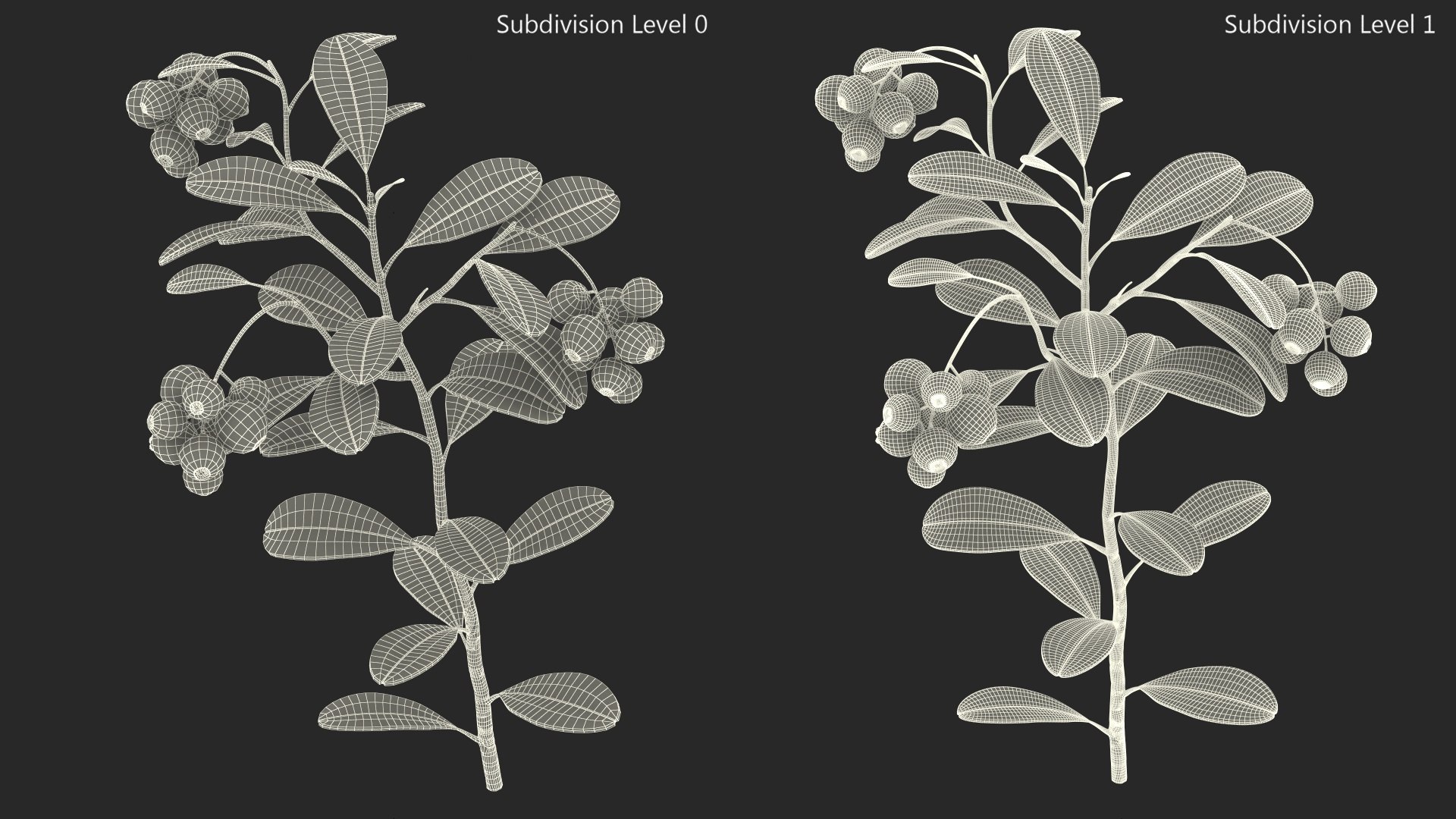 Cranberry Bush 3D Model - TurboSquid 2186742