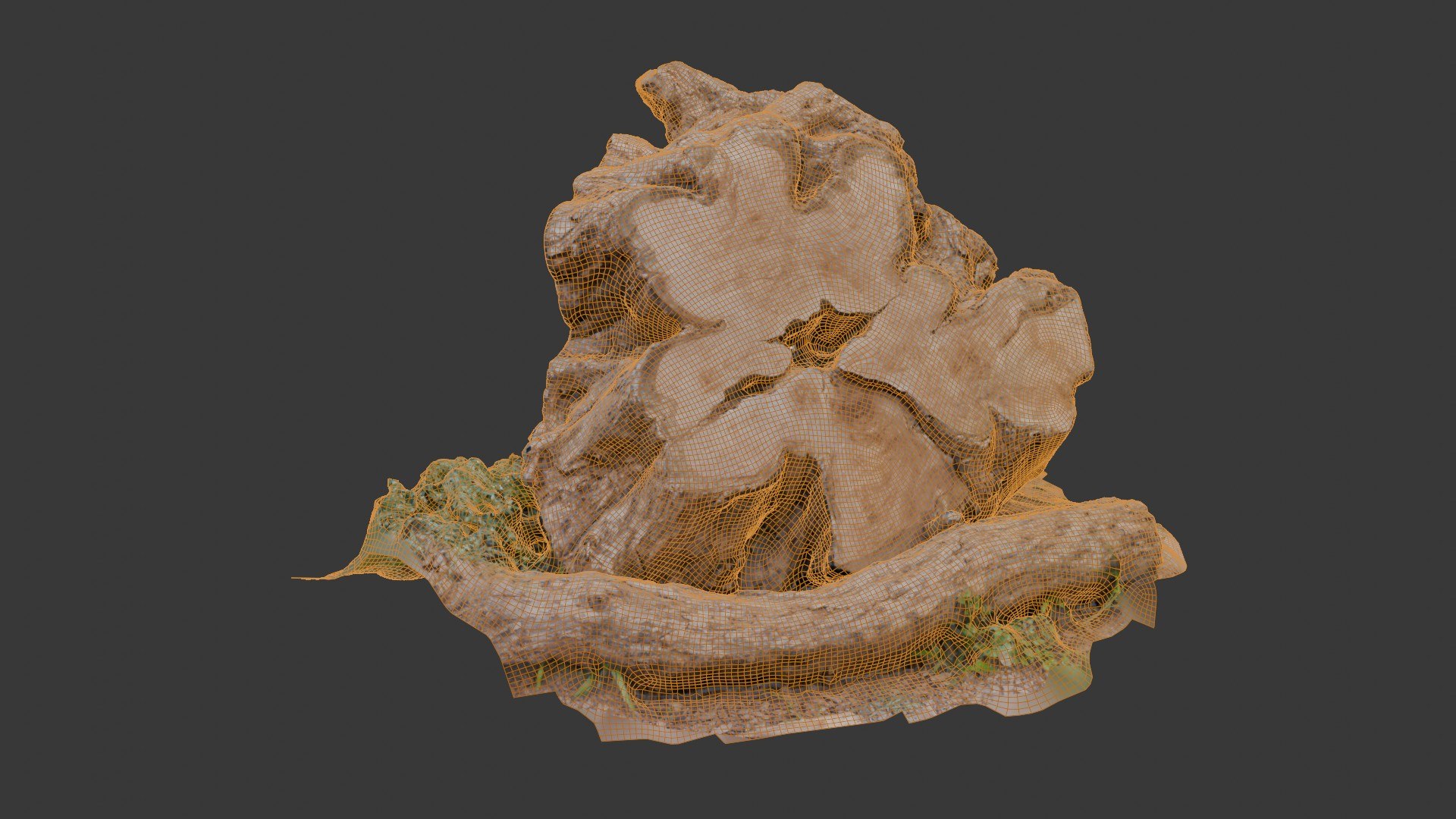 Tree Stump Scan 3D Model - TurboSquid 2386006