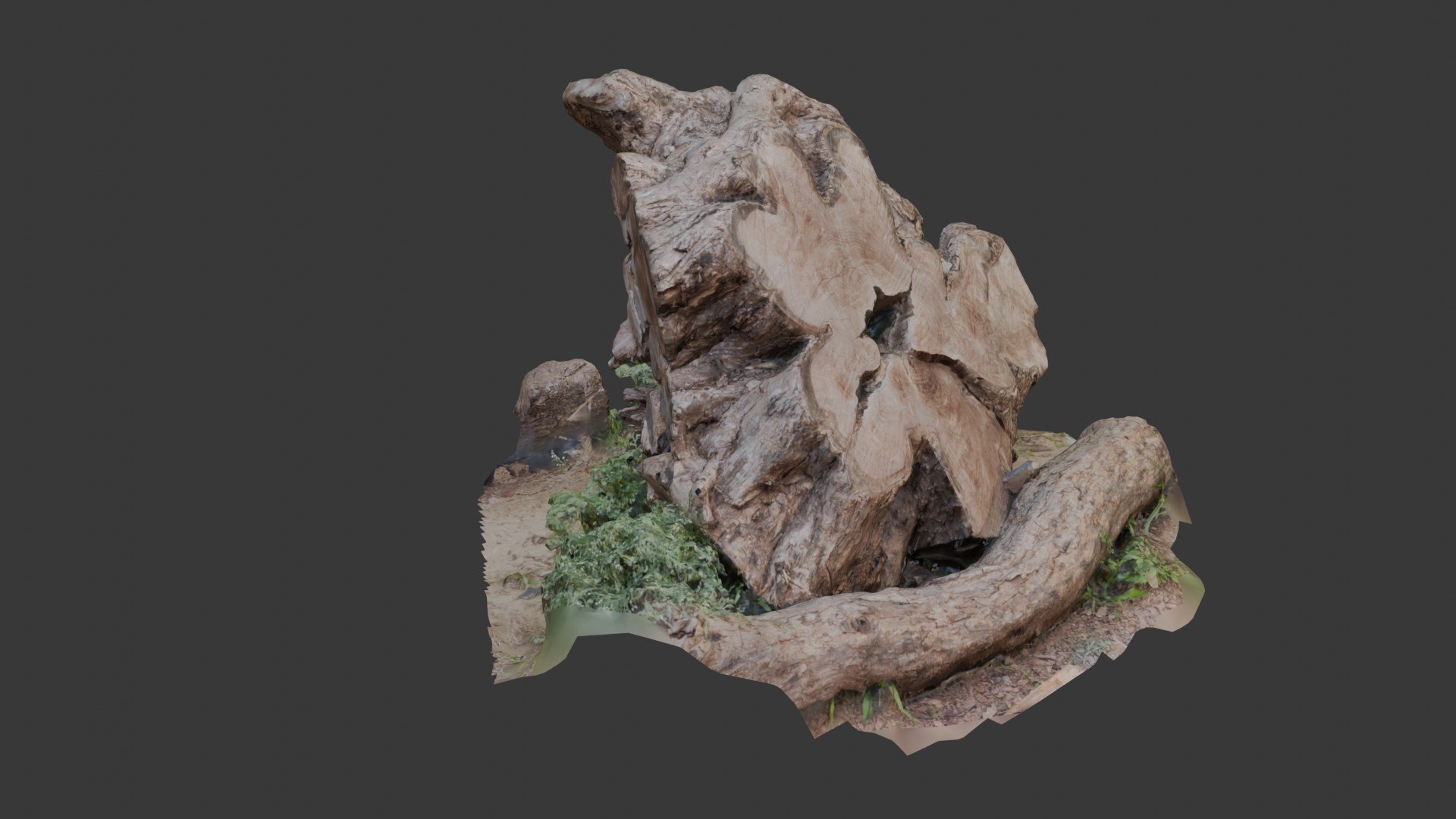 Tree Stump Scan 3D Model - TurboSquid 2386006