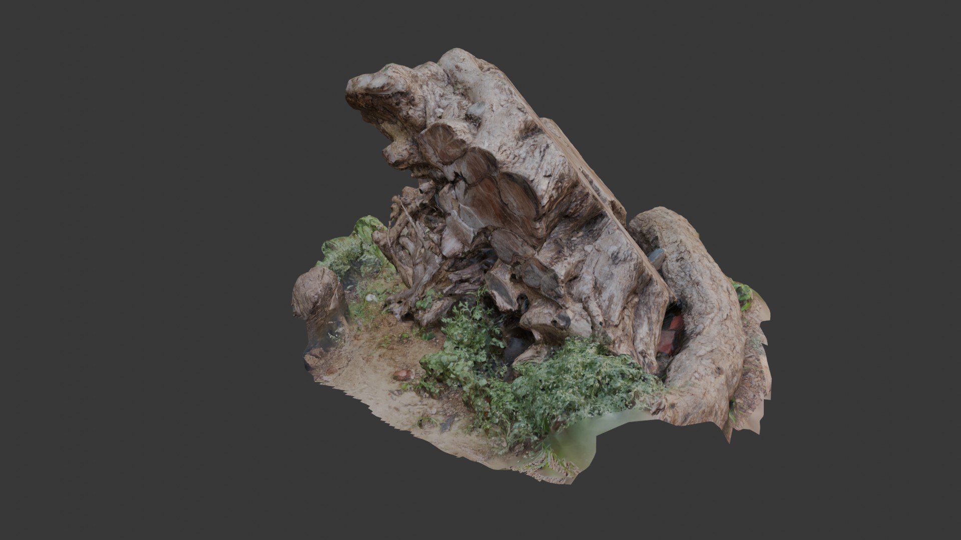 Tree Stump Scan 3D Model - TurboSquid 2386006