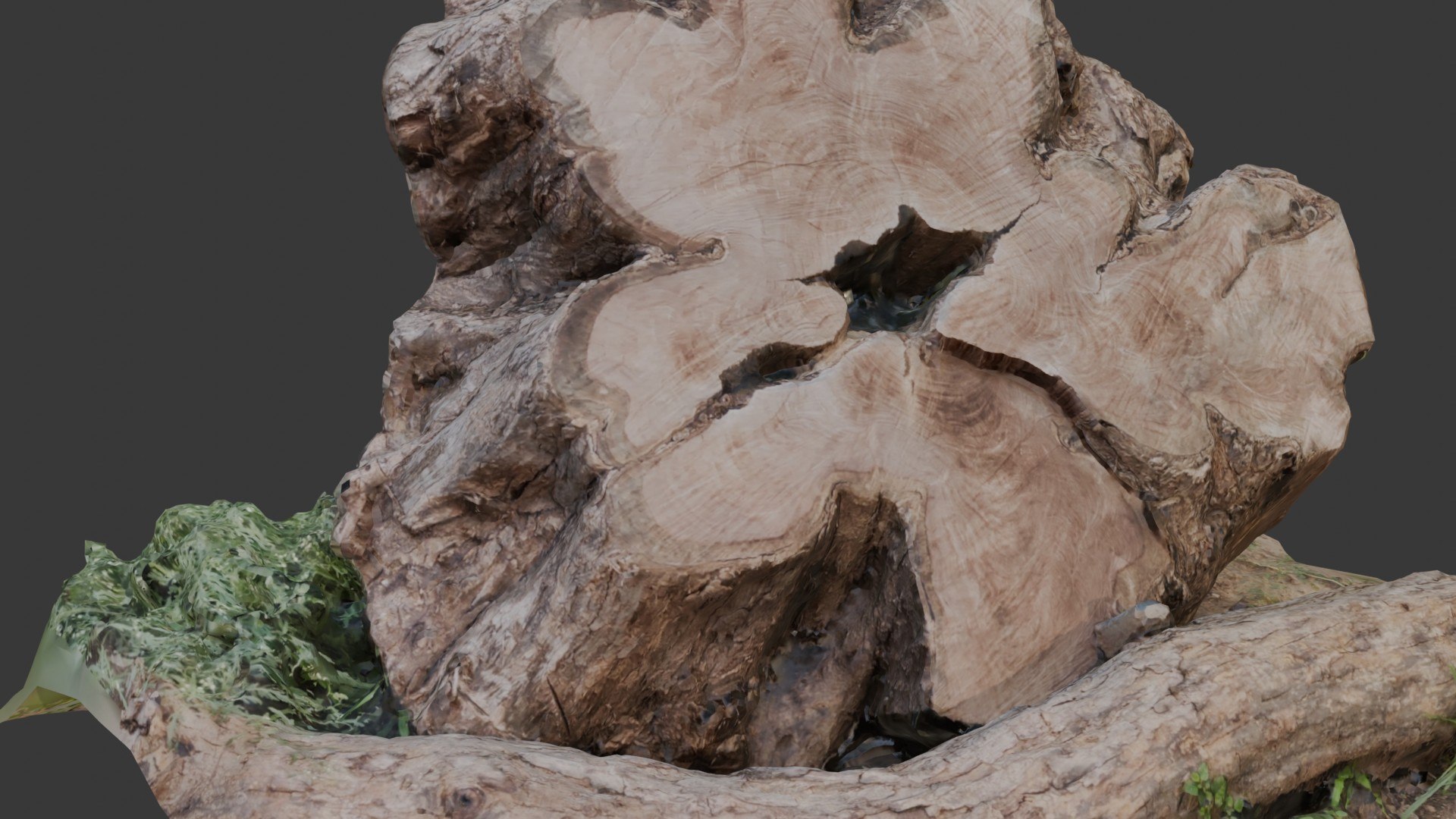 Tree Stump Scan 3D Model - TurboSquid 2386006