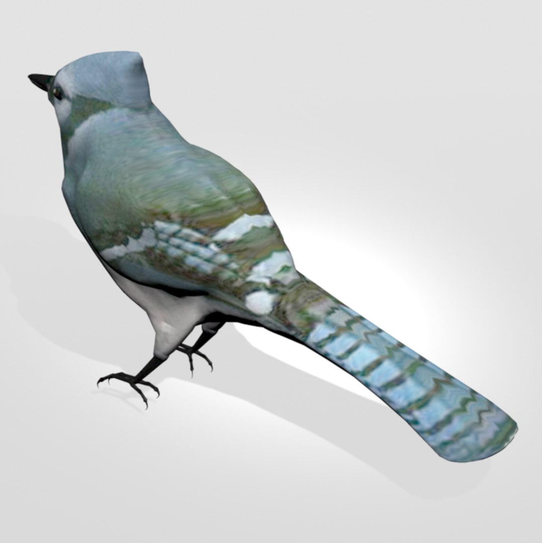 3D bird animal wildlife model - TurboSquid 1281546