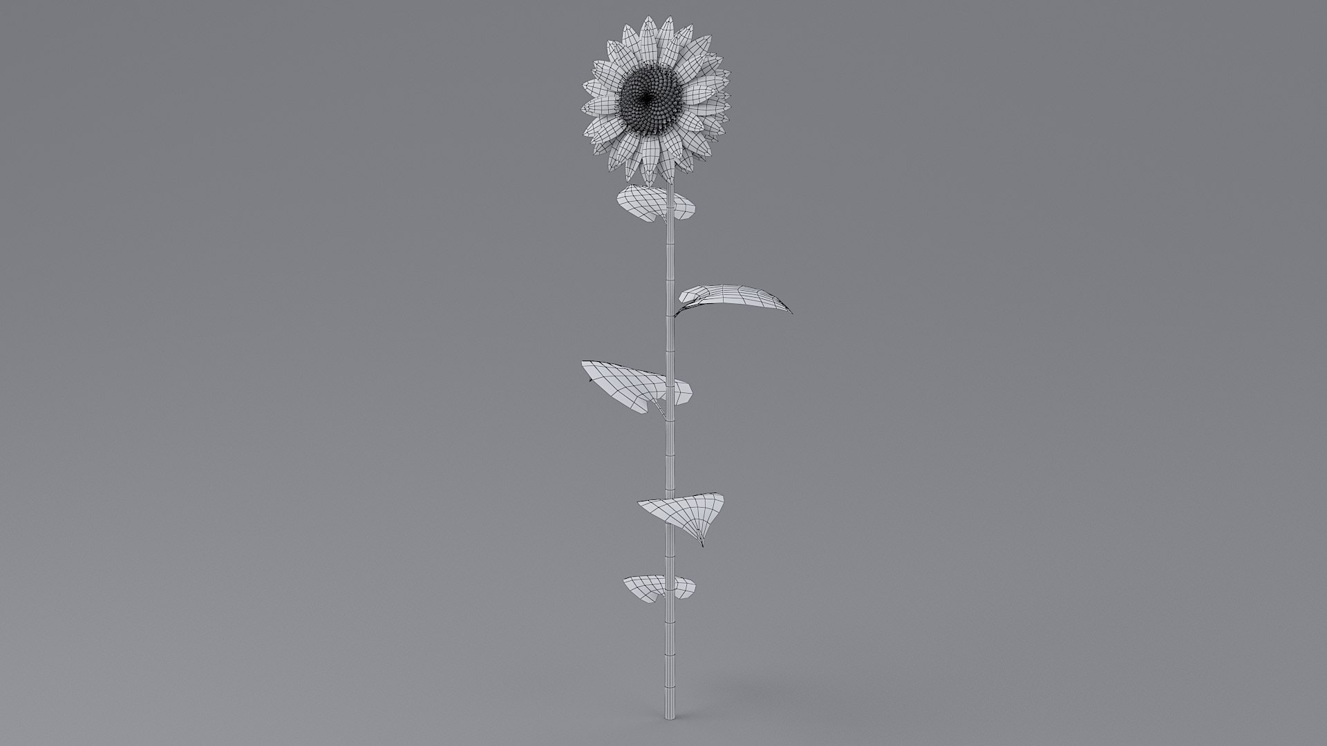 3D Cartoon Sunflower 02 Model - TurboSquid 2049060