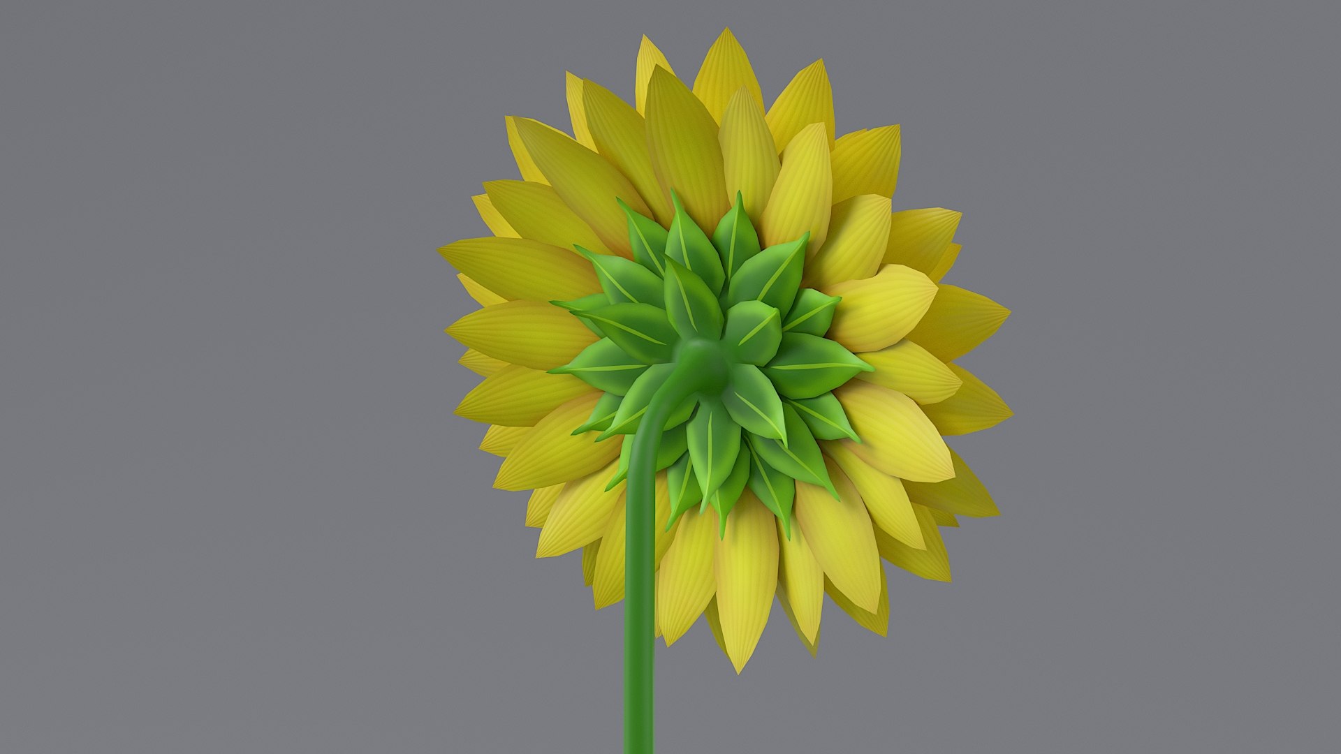 3D Cartoon Sunflower 02 Model - TurboSquid 2049060