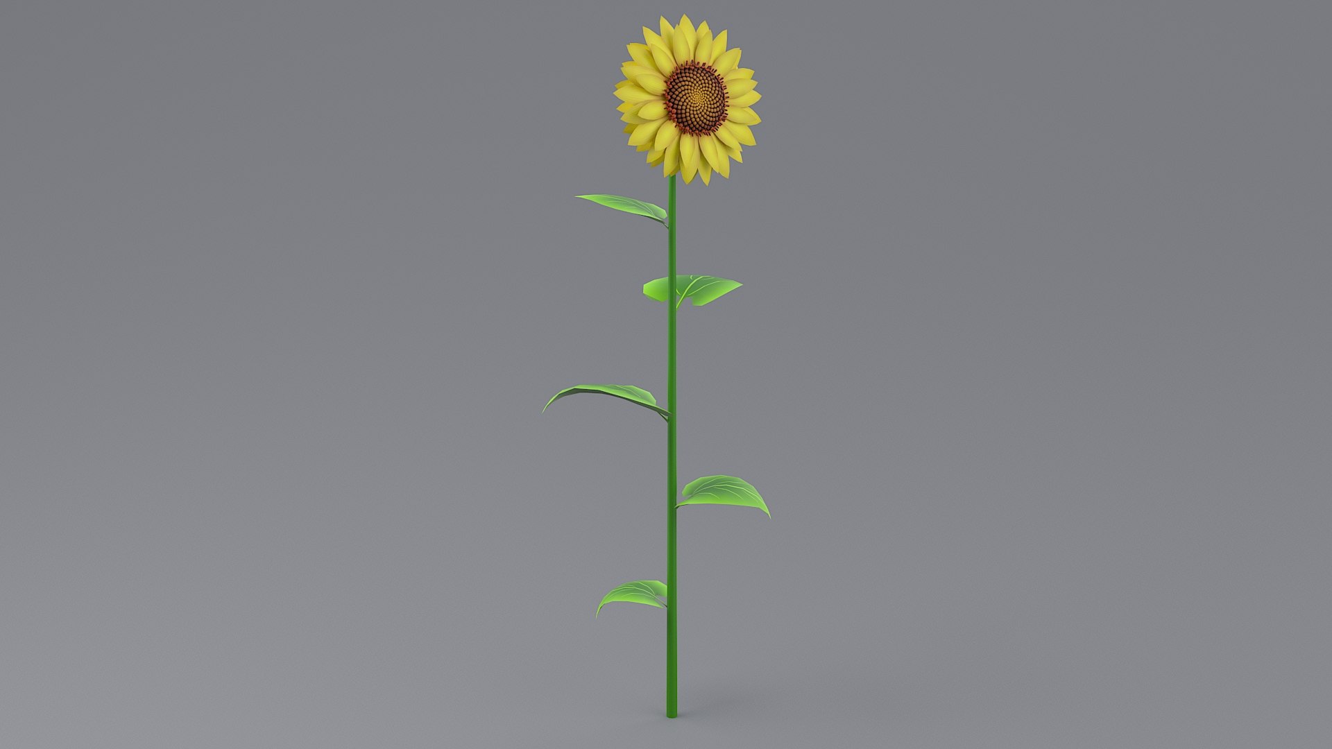 3D Cartoon Sunflower 02 Model - TurboSquid 2049060
