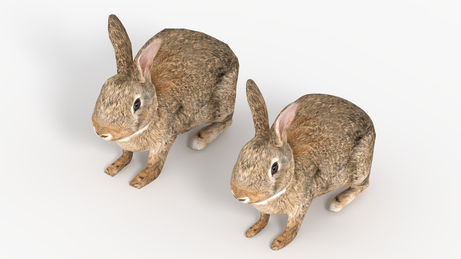 Rigged Rabbit 3D Model - TurboSquid 1361069