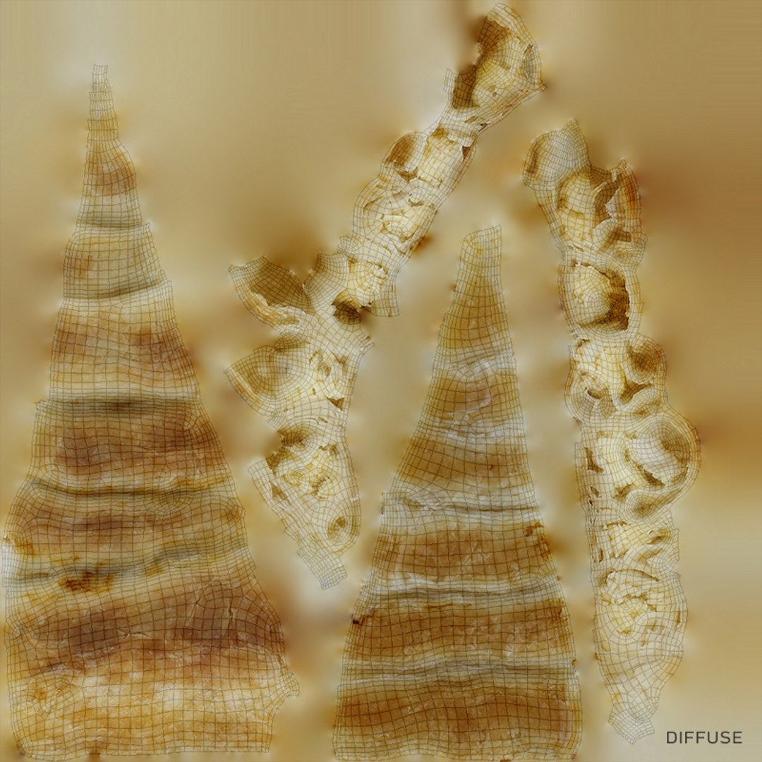 3D Realistic Borek 01 - TurboSquid 1462689