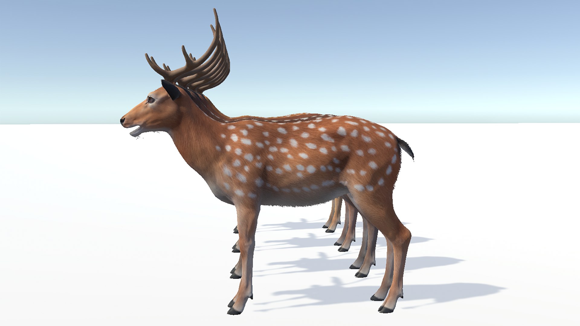 Deer - Stag Model - TurboSquid 2143628