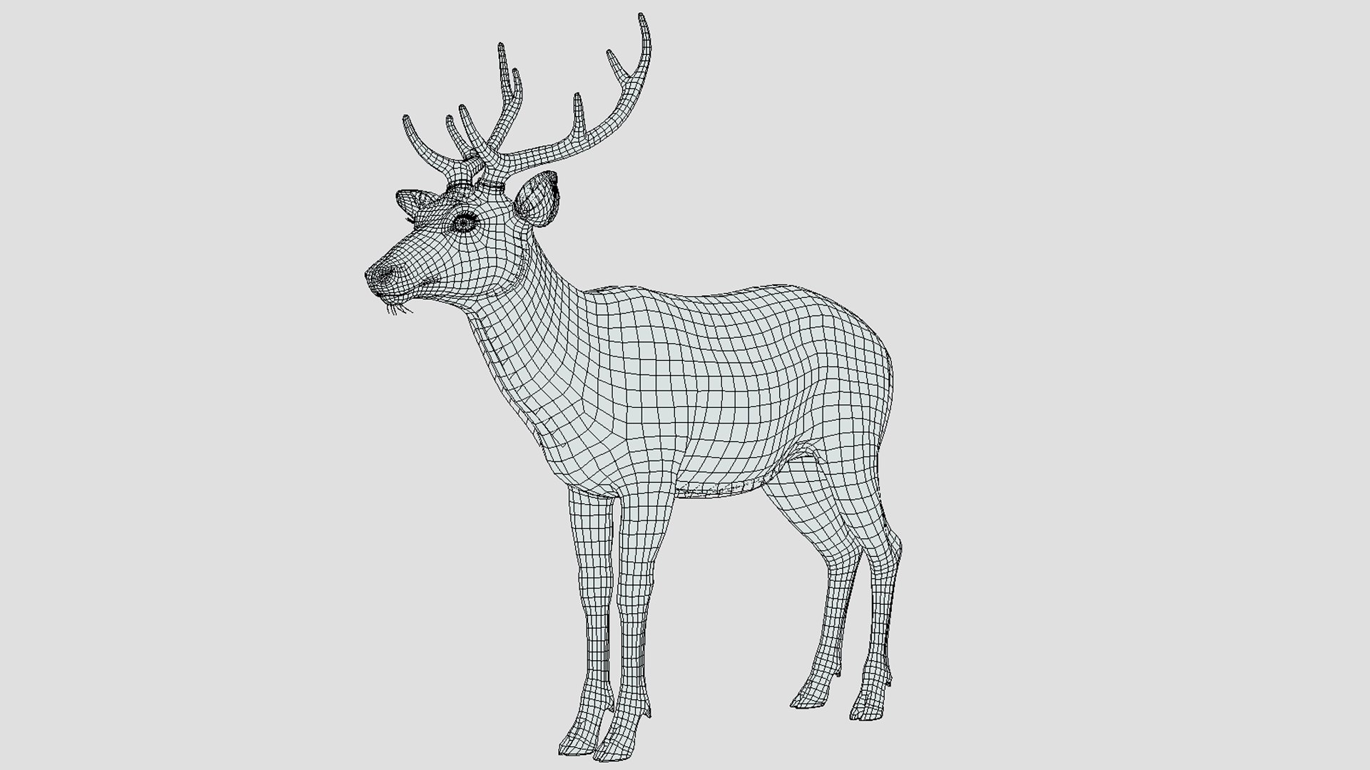 Deer - Stag Model - TurboSquid 2143628