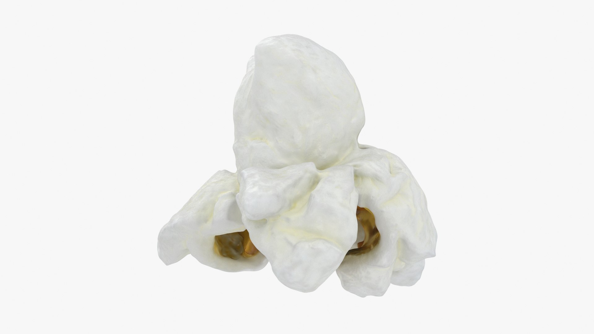 Popcorn 01 3D Model - TurboSquid 2255391