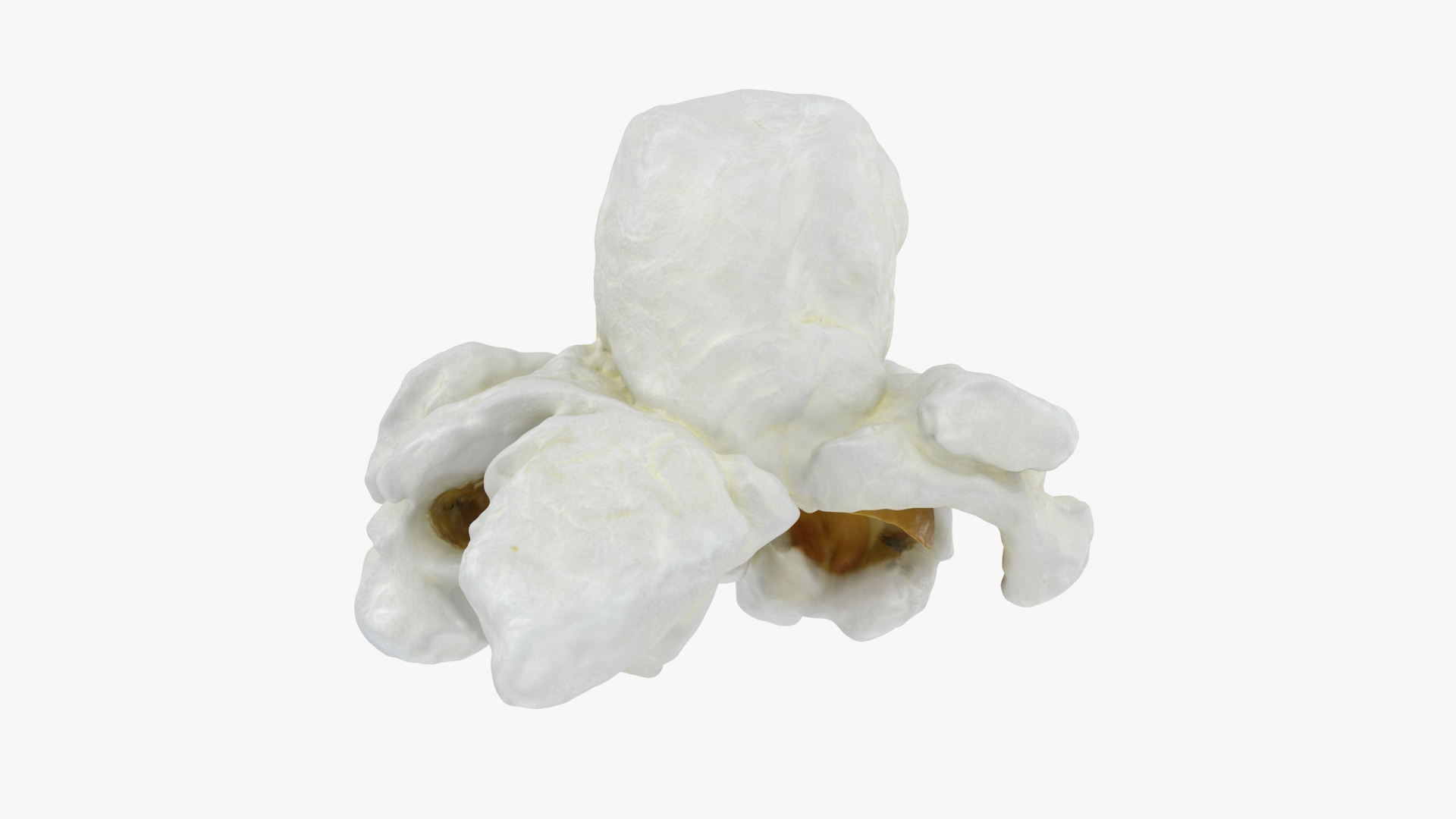 Popcorn 01 3D Model - TurboSquid 2255391