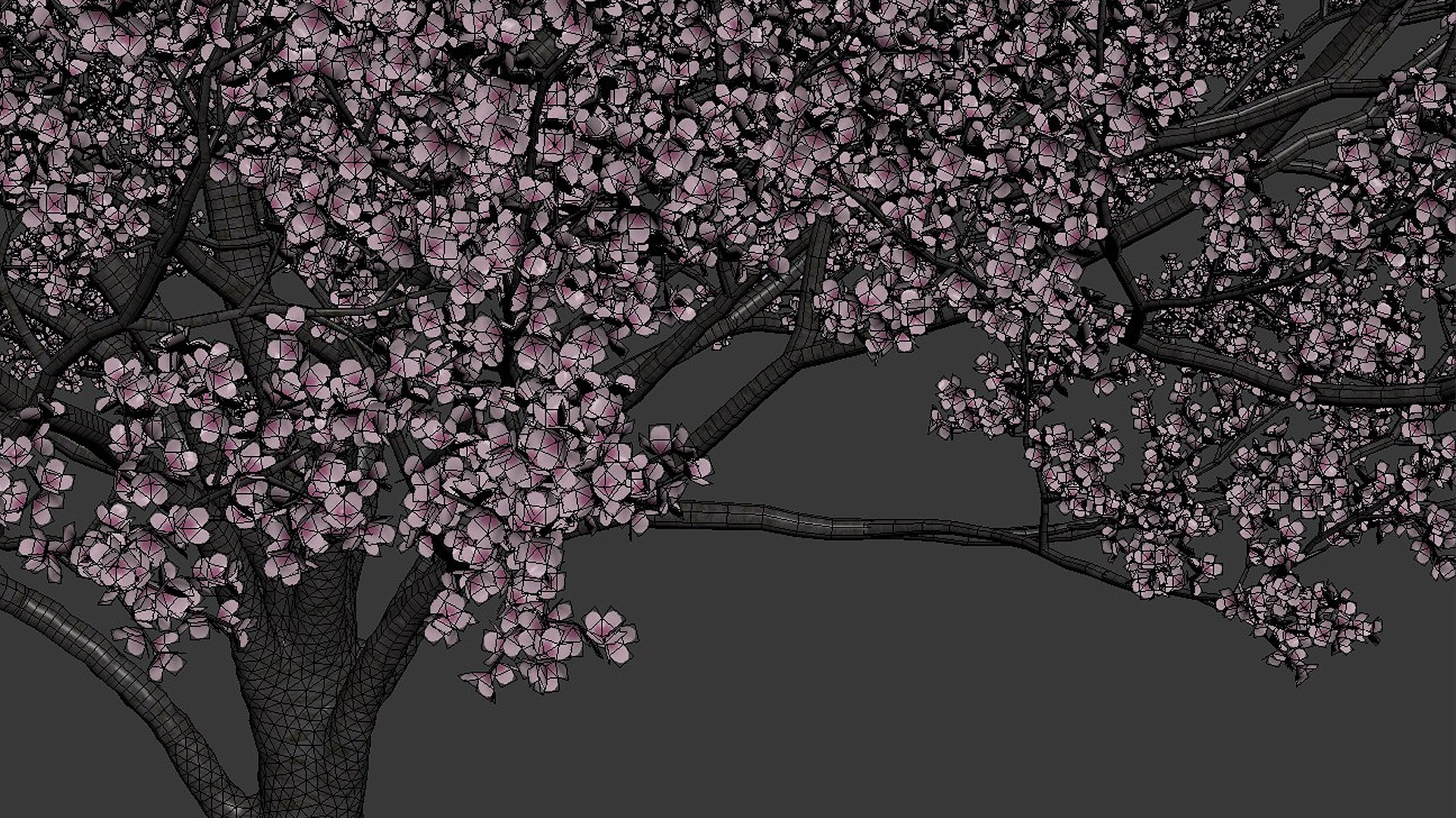 Sakura Tree Model - TurboSquid 1912922