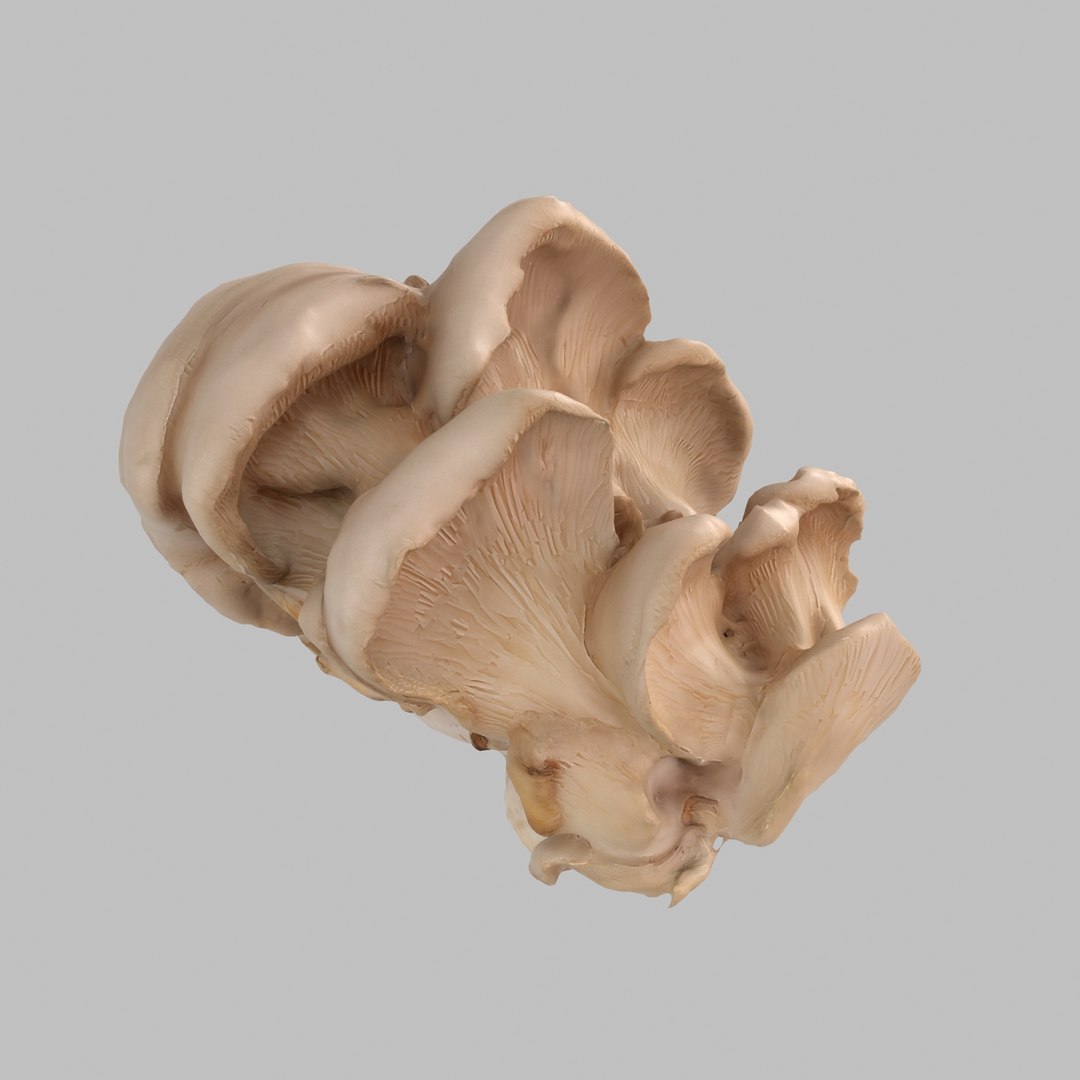 Realistic Photoreal 3d Model