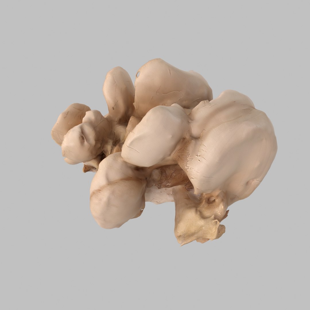 Realistic Photoreal 3d Model