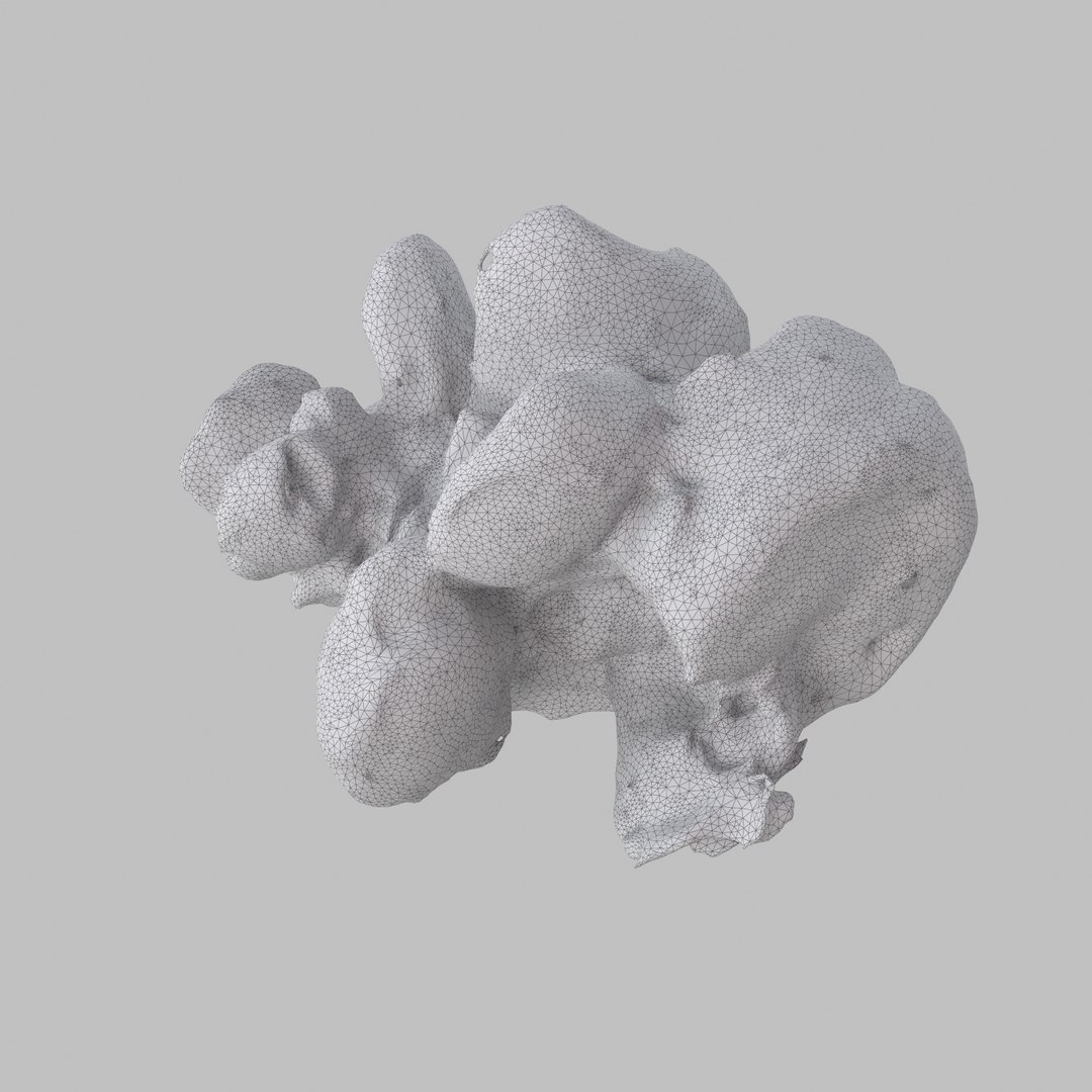 Realistic Photoreal 3d Model