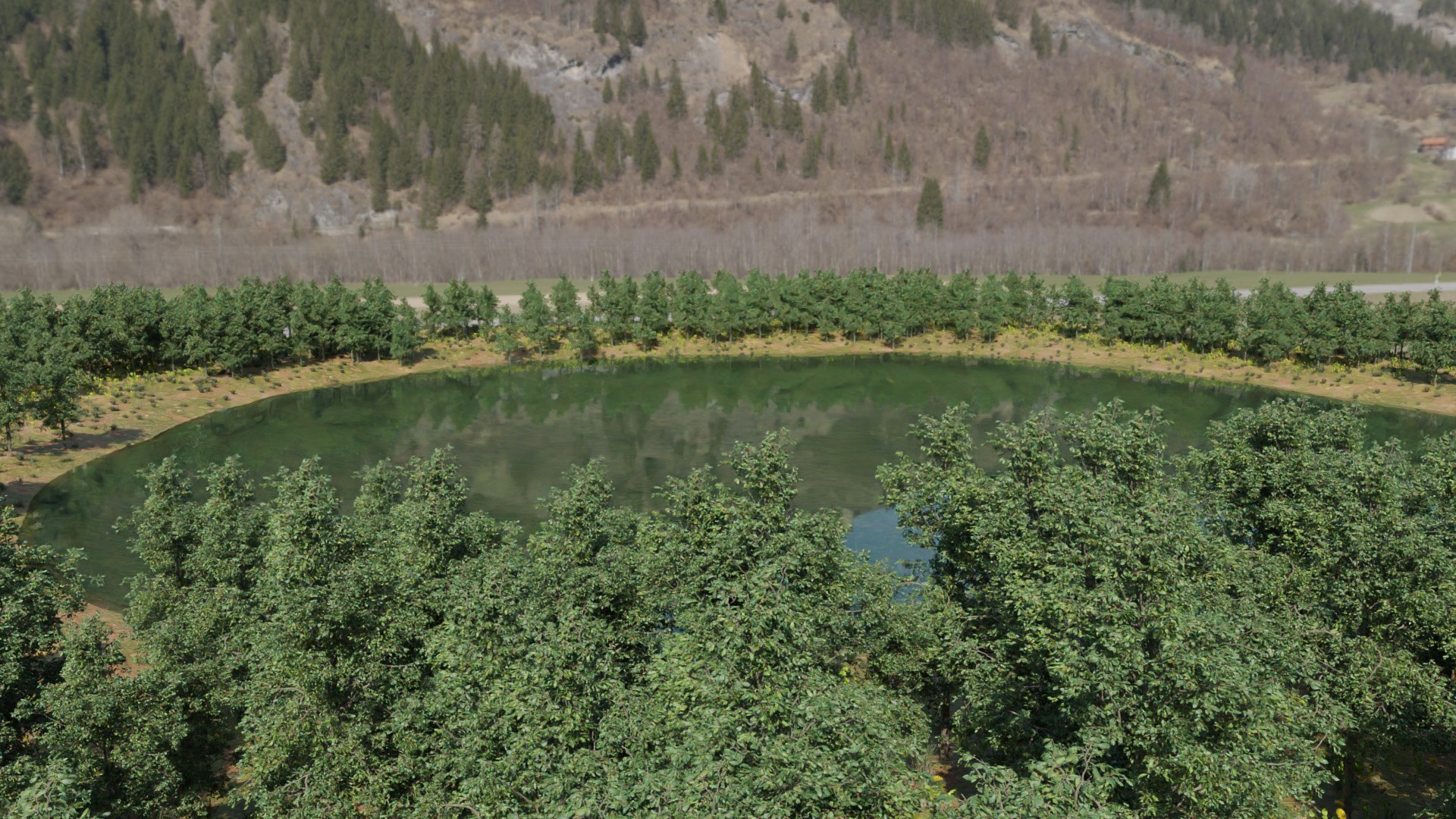 3D Forest Lake Oasis 3d Scene Landscape - TurboSquid 2178209