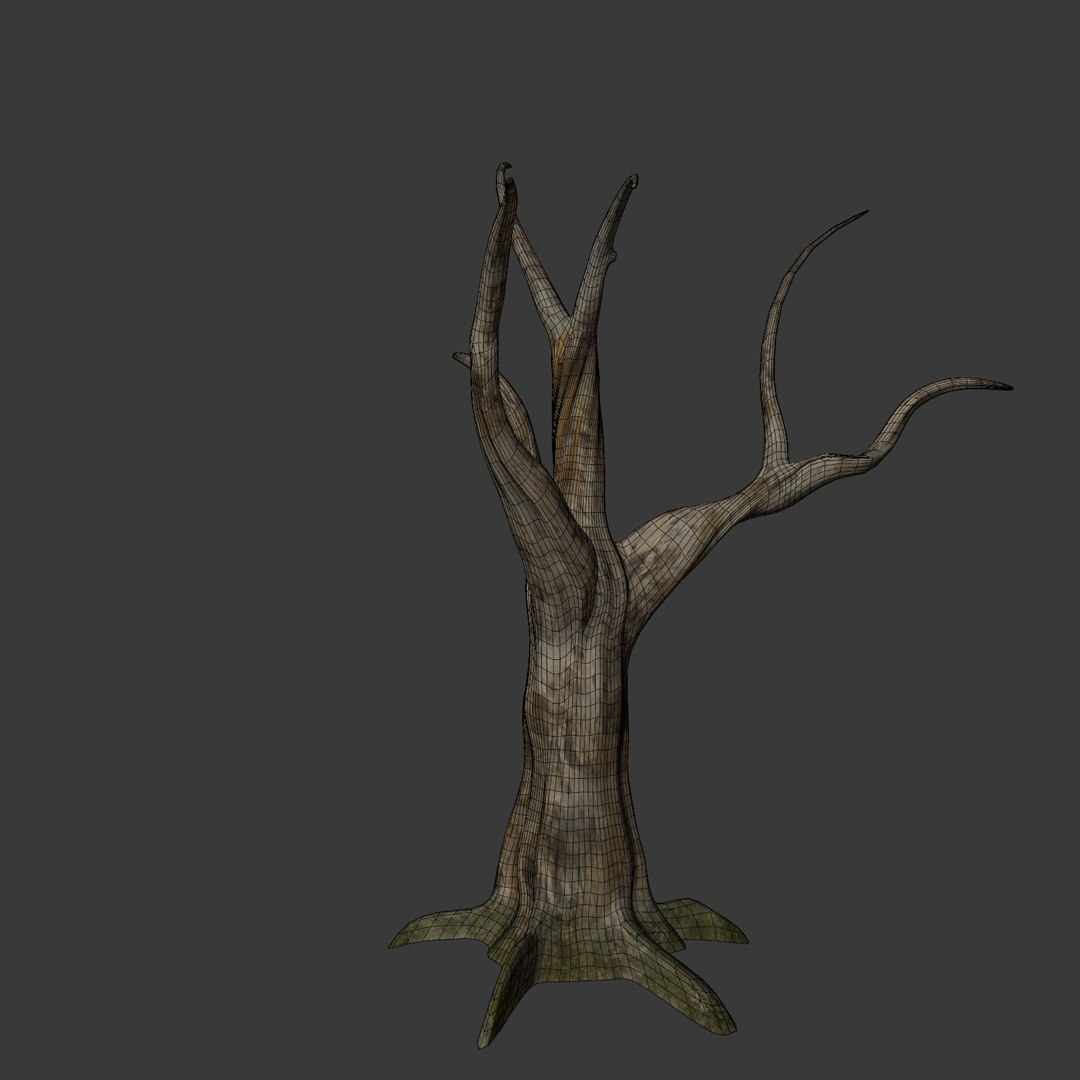 Old Tree 3D Model - TurboSquid 1750276