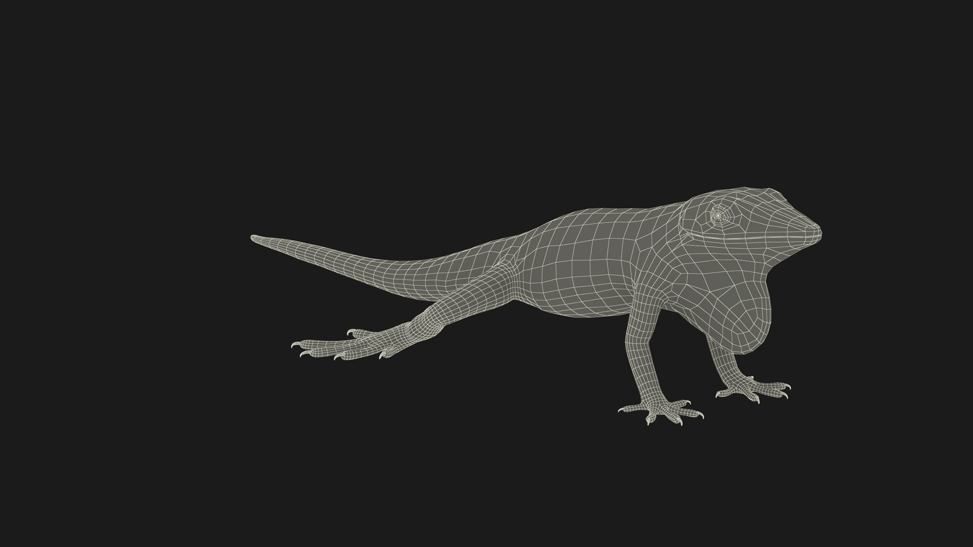 3D Carolina Anole Lizard Rigged For Cinema 4D Model - TurboSquid 2130752