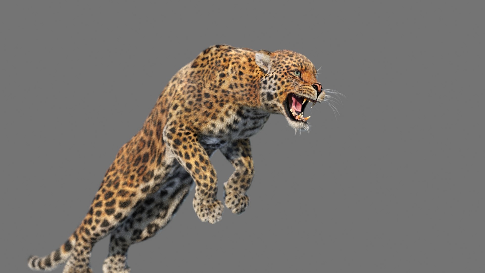 Leopard Animated Fur model - TurboSquid 1821106