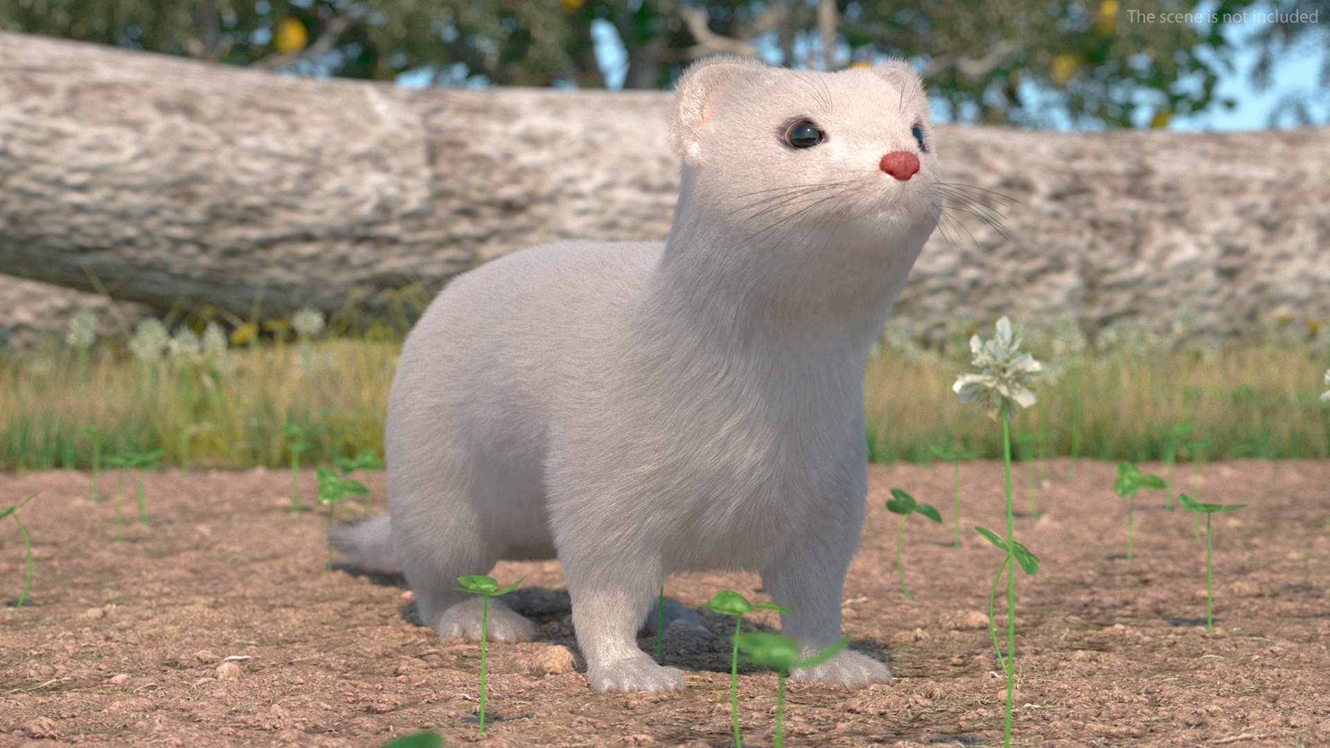 Ermine Winter Coat Fur 3D Model - TurboSquid 2206699