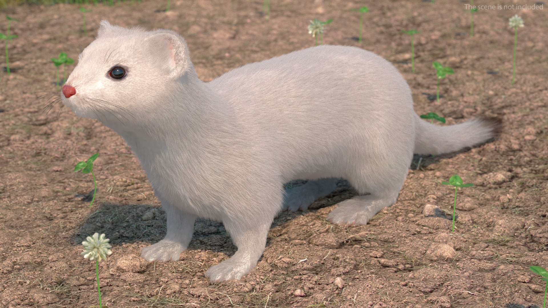 Ermine Winter Coat Fur 3D Model - TurboSquid 2206699