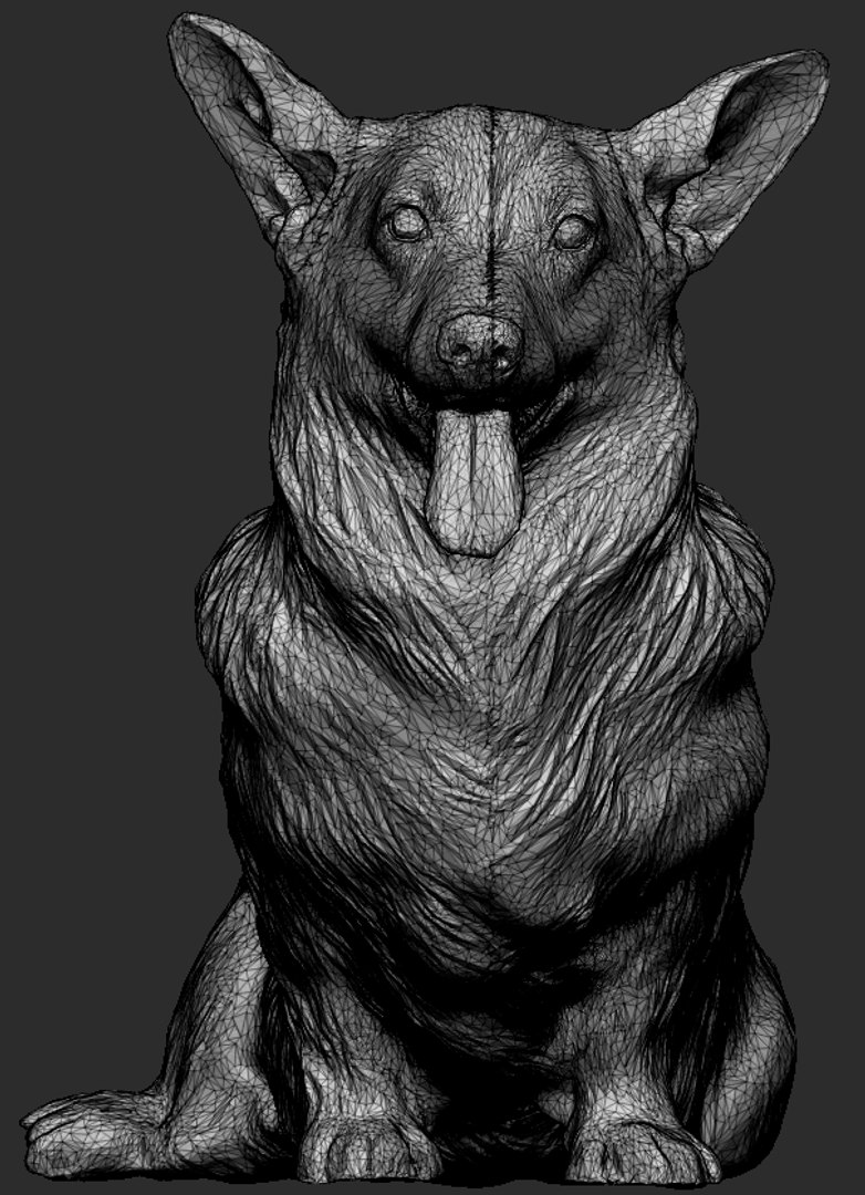 3D 2020 Corgi Dog Animals - TurboSquid 1637194