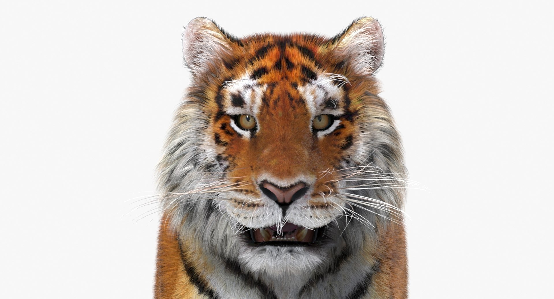 3d tiger fur