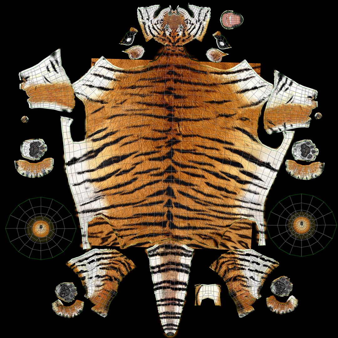 3d tiger fur