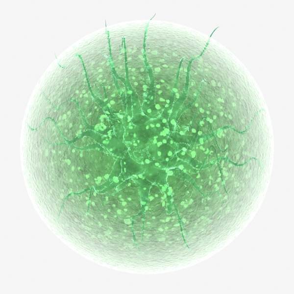 3D Algae Models | TurboSquid