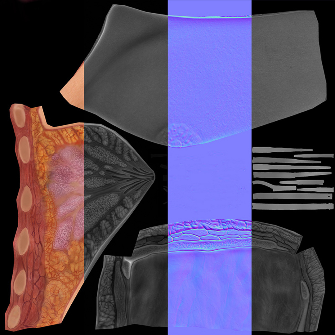 Female breast 3D model - TurboSquid 1692730